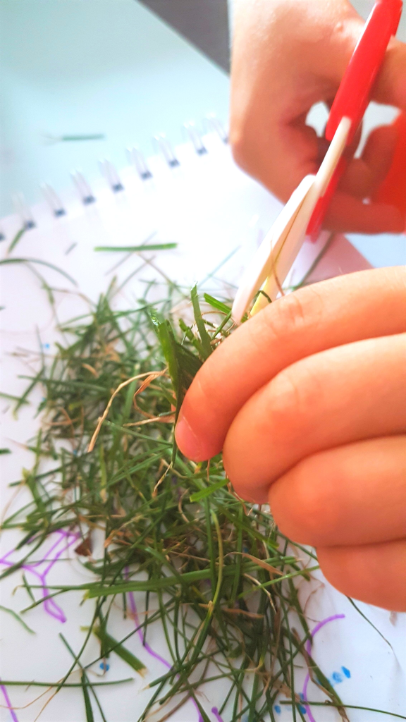 Activité collage avec graines et épices – La récré de Maman Pirouette